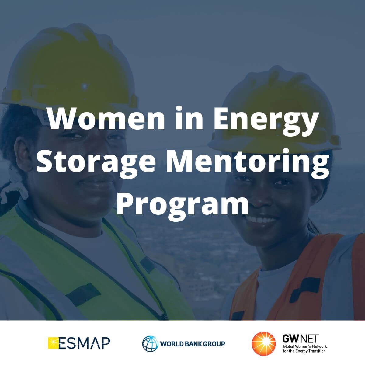 Women in Energy Storage Mentoring Program 2024 - Globalwomannet